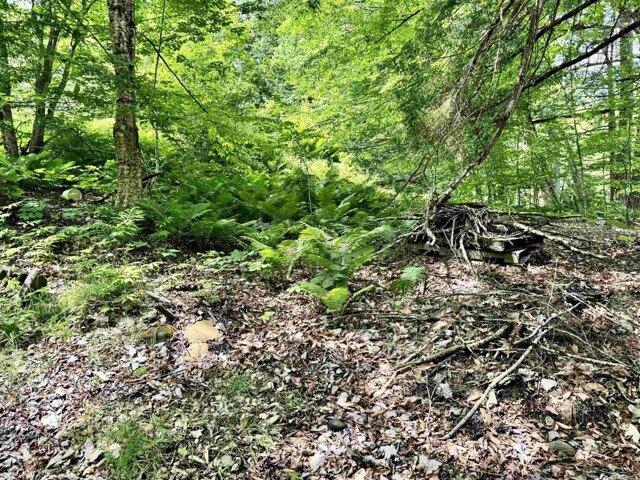 land Tunbridge VT DS103929704