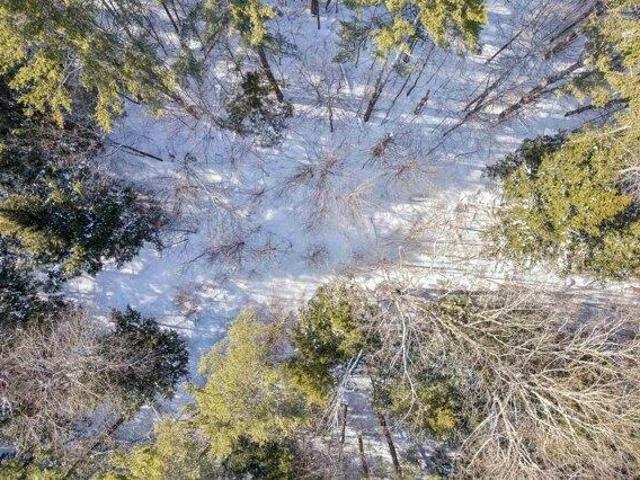land Tunbridge VT ES103073866