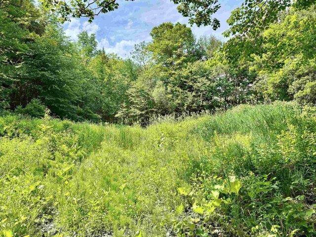 land Tunbridge VT ES104812151