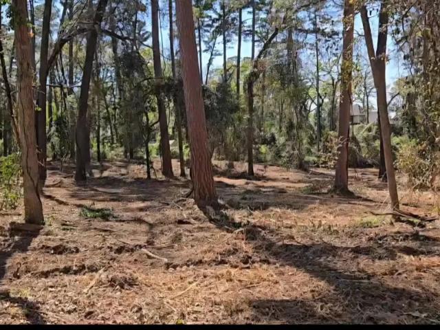 land Tx Tx DS102701649