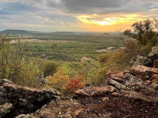 land Tx Tx DS102702296