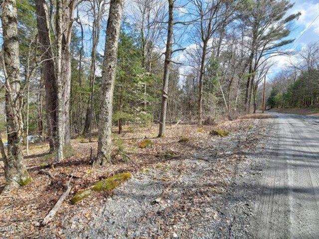 land Tyringham MA DLS102061670