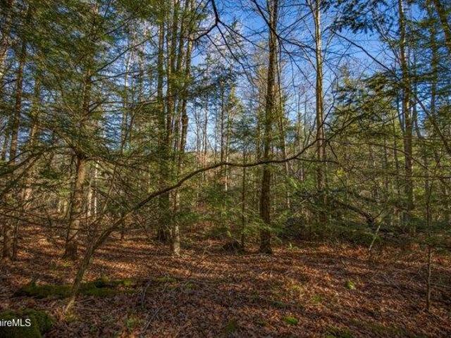 land Tyringham MA ES102962417