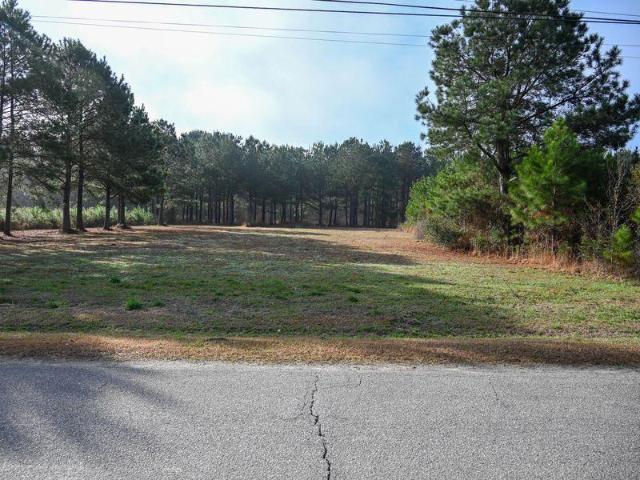 land Tabor City NC DLS101012151
