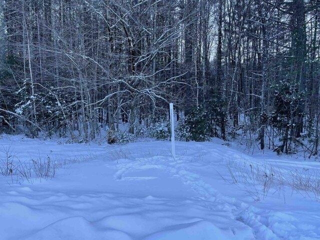 land Tamworth NH DLS101859391