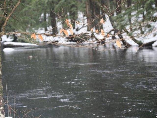 land Tamworth NH DLS103070879
