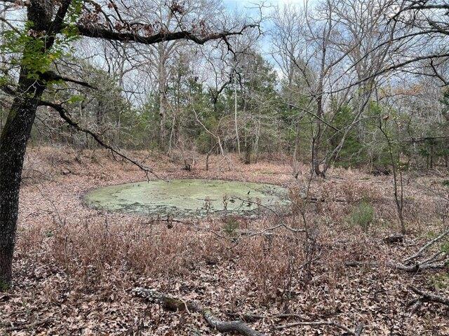 land Terrell TX DLS90902479