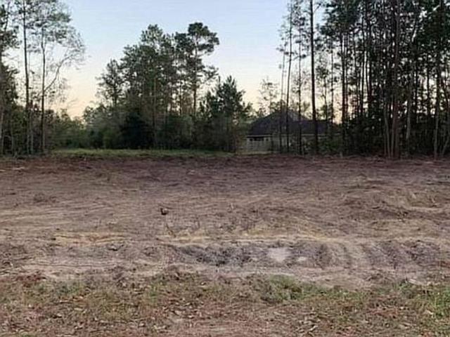 land Theodore AL DS101011834