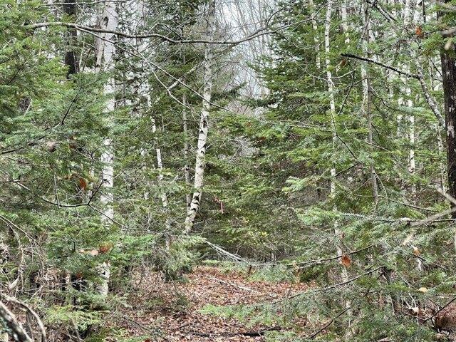 land Thorndike ME DS102256544