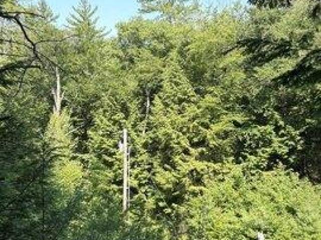 land Thornton NH ES104328737