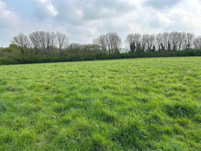 Land to rent