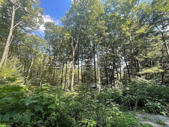 land Topsham VT DS103927589