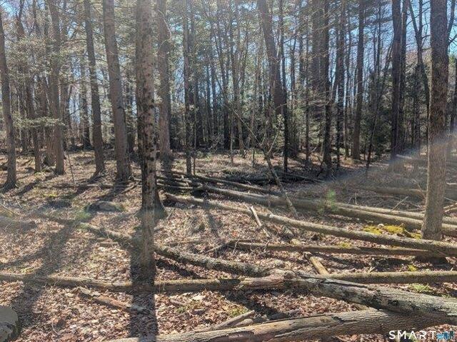 land Torrington CT DS102827211
