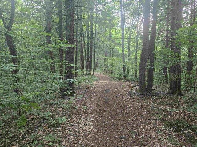 land Townshend VT ES105141177