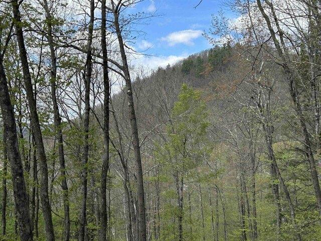 land Townshend VT ES105207049