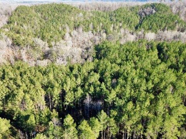 land Toxey AL DLS92737010