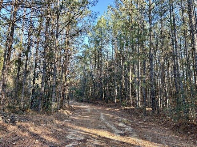 land Toxey AL DLS92766579