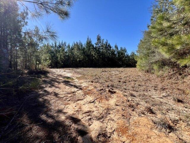 land Toxey AL DS92645217