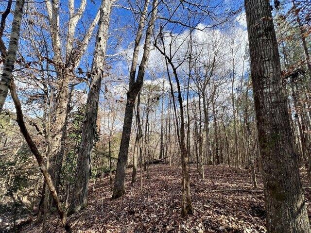 land Toxey AL DS92678260