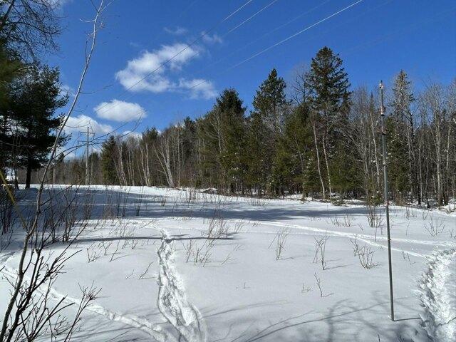 land Trout Lake MI DLS89589208