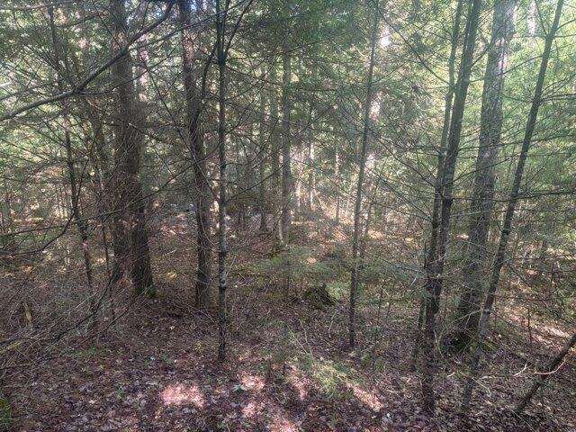 land Troy ME ES105416408