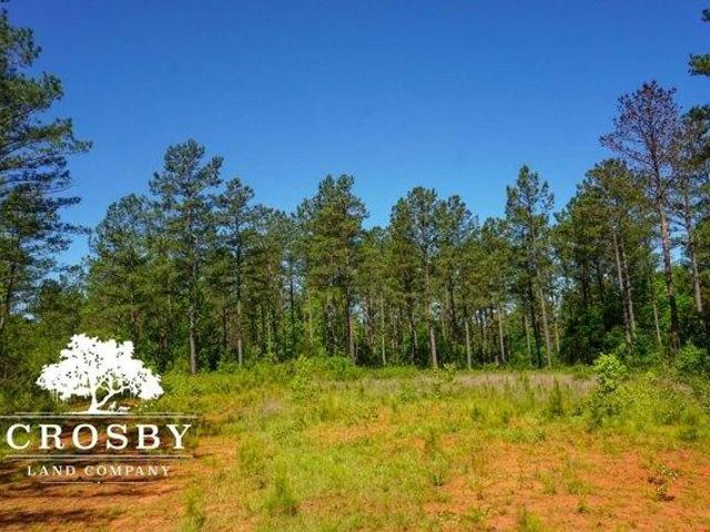 land Troy SC DLS91673999