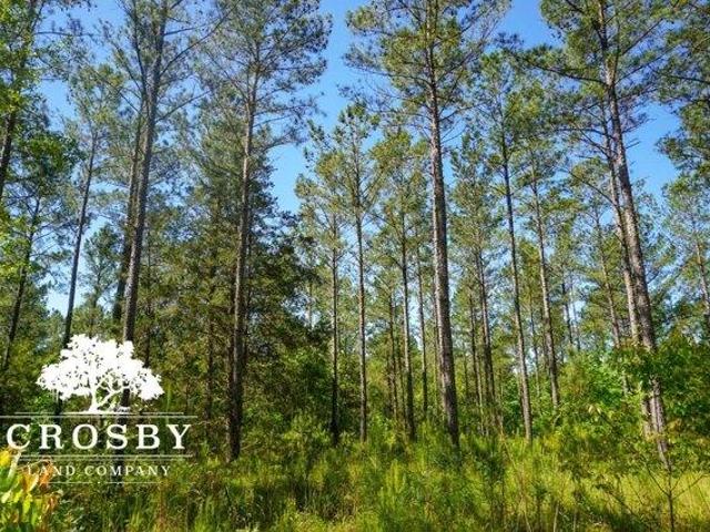 land Troy SC ES103500935