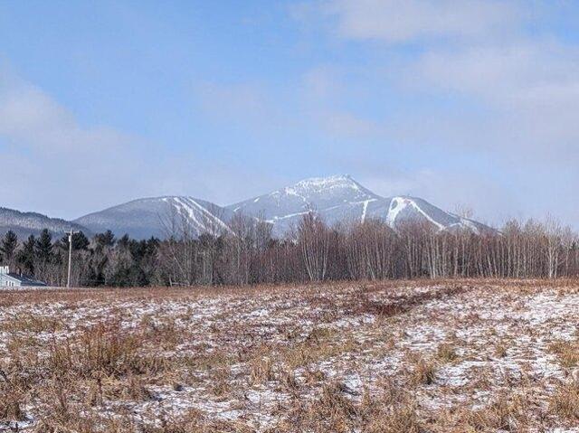 land Troy VT ES104833323