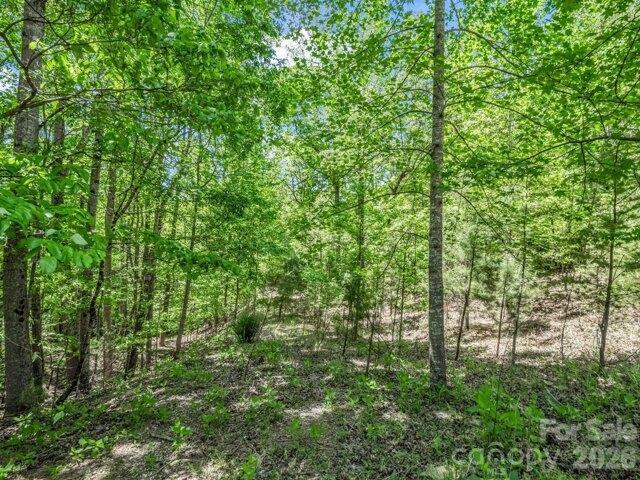 land Tryon NC ES104899180