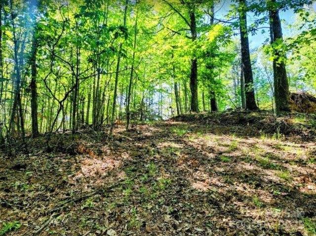 land Vilas NC DS103603075