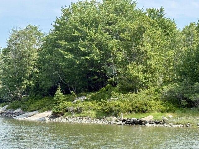 land Vinalhaven ME ES104850029