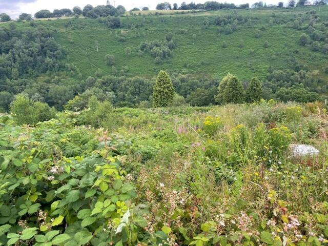 Land Wye Kent 99952417