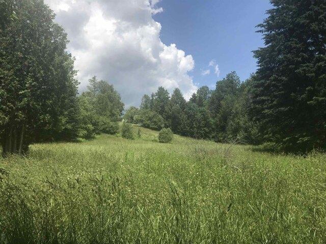 land Waitsfield VT DS101858839