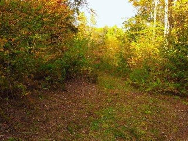 land Waitsfield VT DS102258629