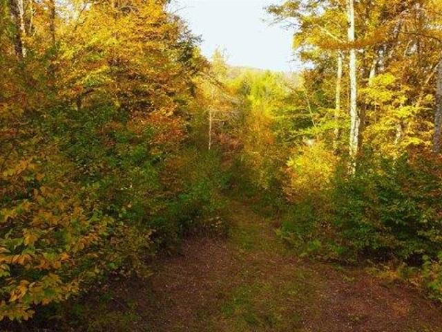 land Waitsfield VT ES104331139