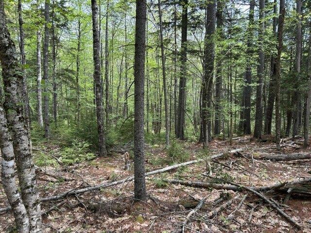 land Waldoboro ME DS104043211