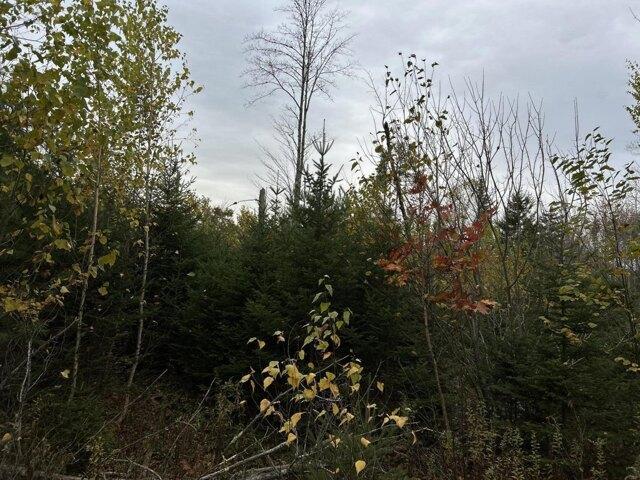 land Waldoboro ME ES104571594