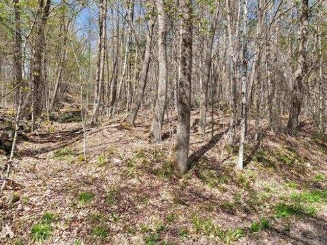 land Wallingford VT DLS102778412