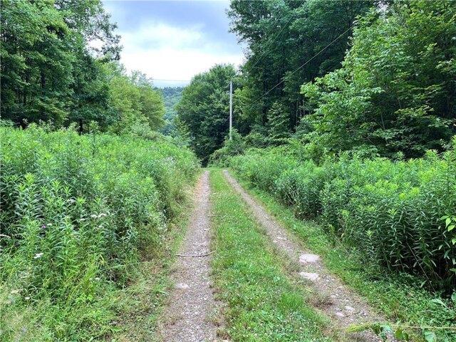 land Walton NY DS93404947