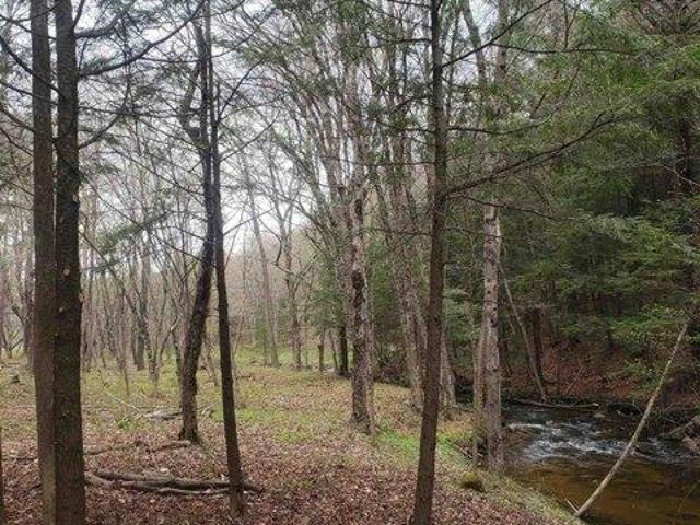 land Washington MA DS89117070