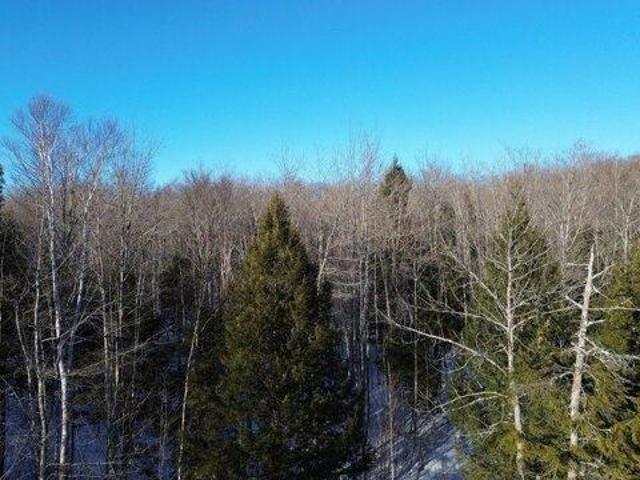 land Washington ME DS102026751