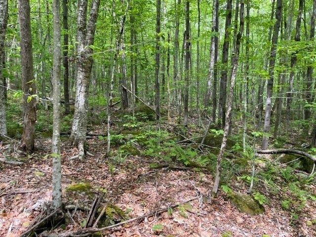 land Washington NH ES104809850