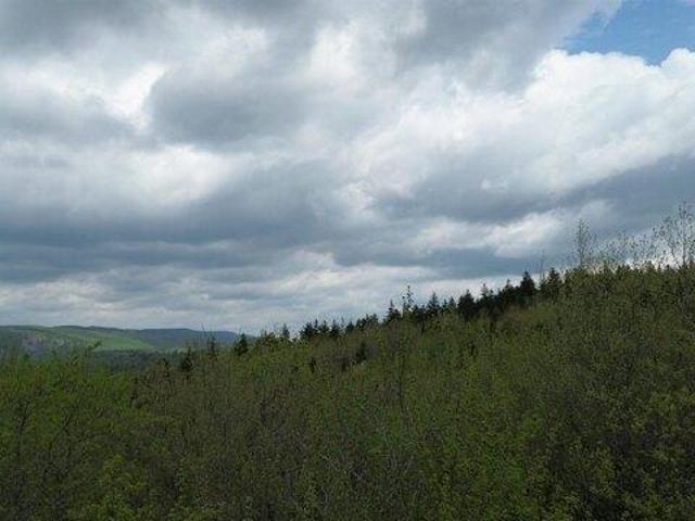 land Washington NH ES104835140