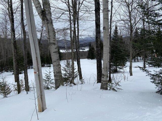 land Warren VT DLS101660349
