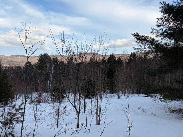 land Warren VT DLS102595061
