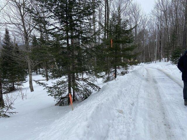 land Warren VT DLS102761652