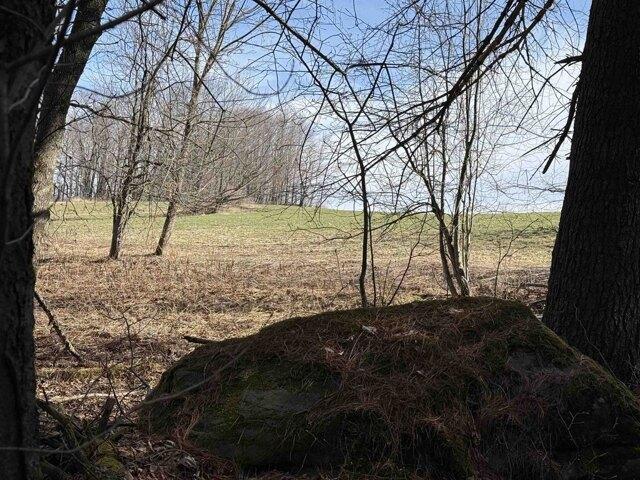 land Warren VT DLS102213125