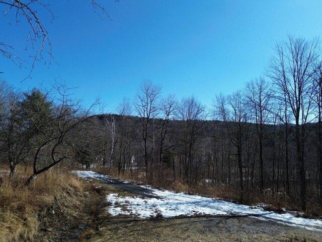 land Warren VT DLS102280452