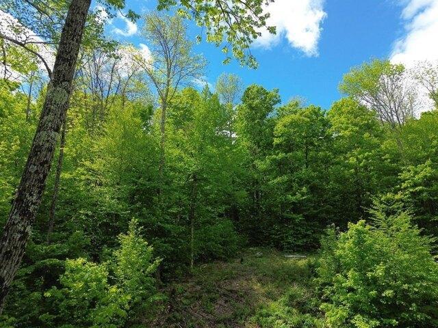 land Warren VT DLS103099586