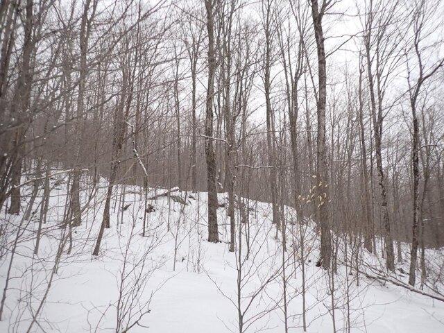 land Warren VT DS102594717